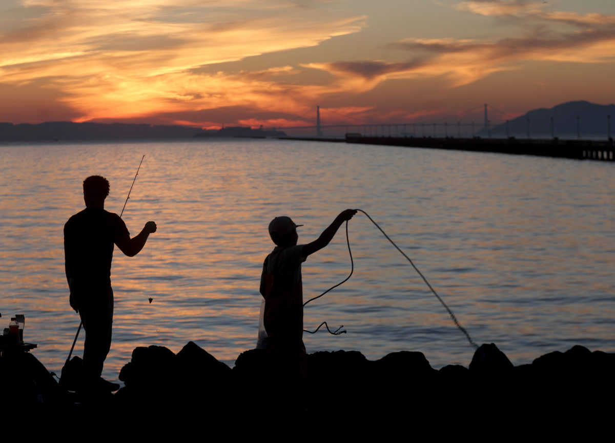 West – November 2025 – Feature/Single – NPPA Contests