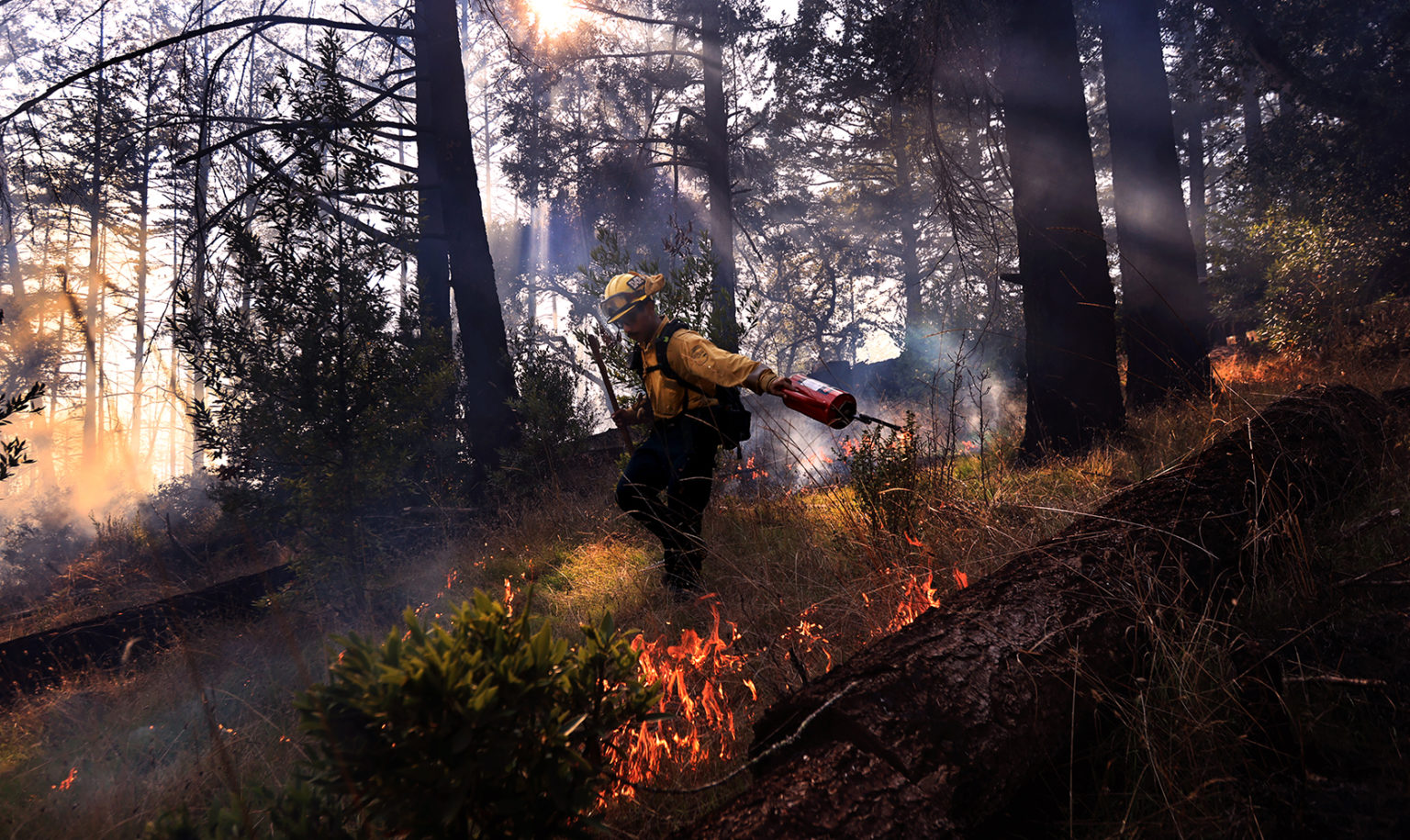 West – October 2025 – Photo Story/Essay – NPPA Contests