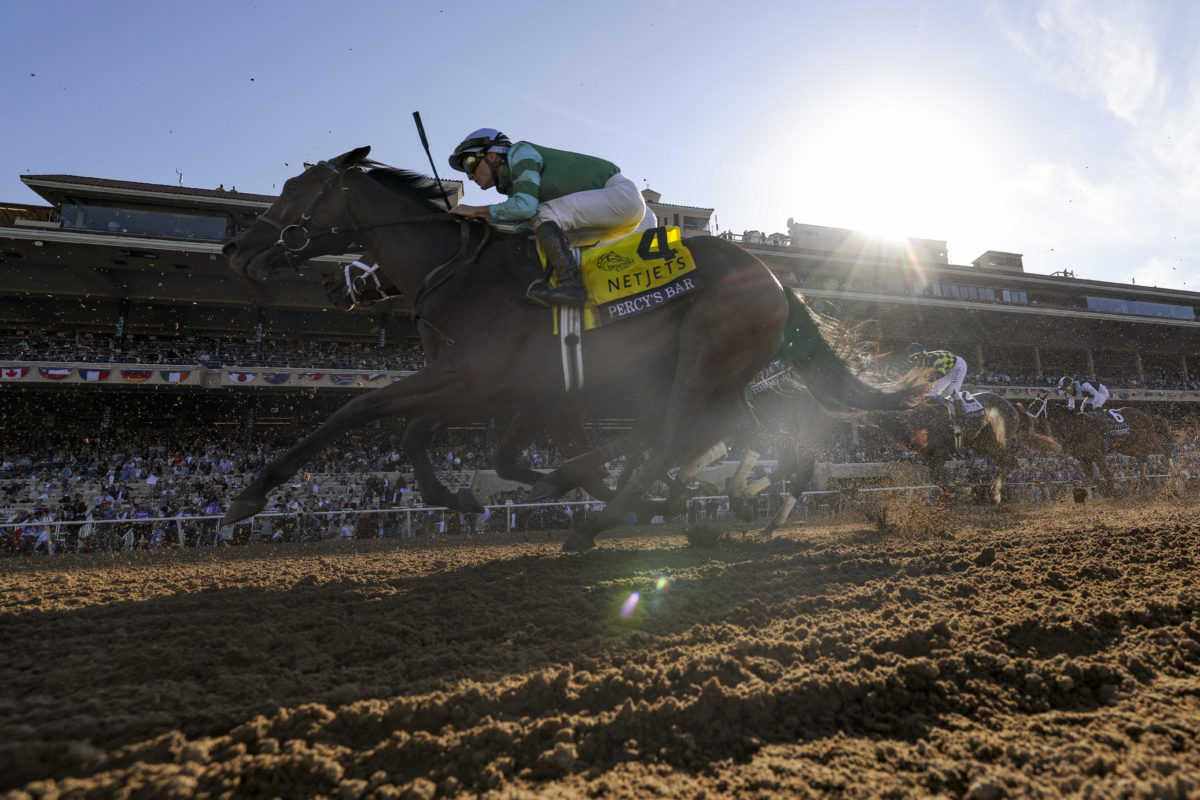 West – October 2025 – Sports Action – NPPA Contests