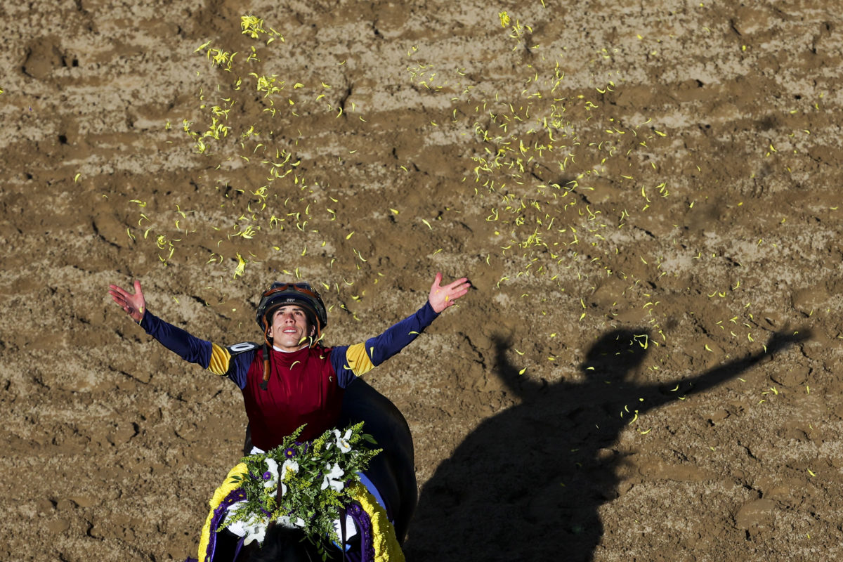 West – October 2025 – Sports Feature – NPPA Contests